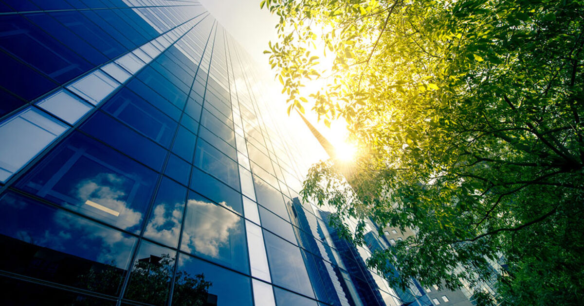 QPE Holds Final Close of Debut Fund at £202M Hard Cap | Queen’s Park Equity